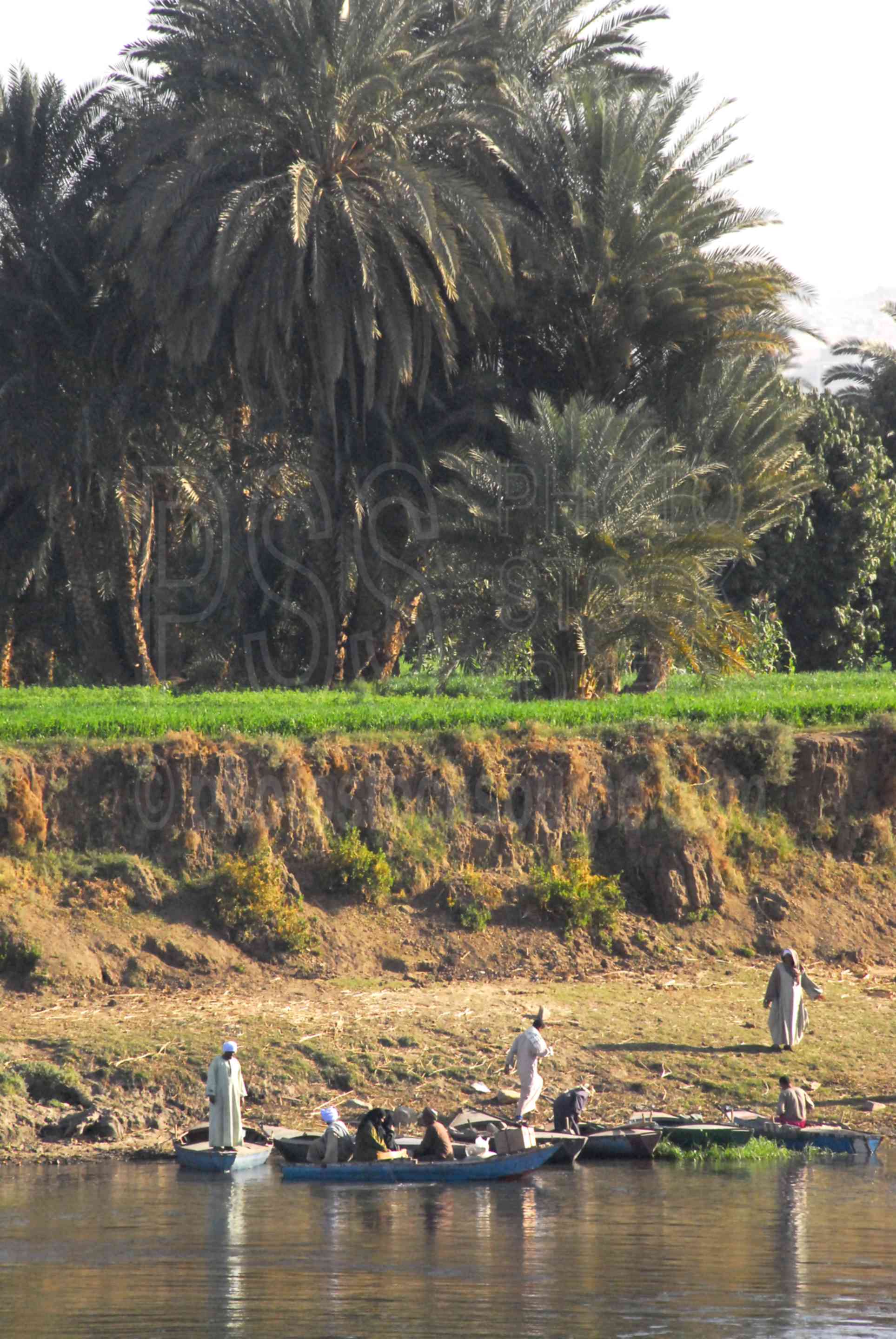 Nile River Bank Gallery