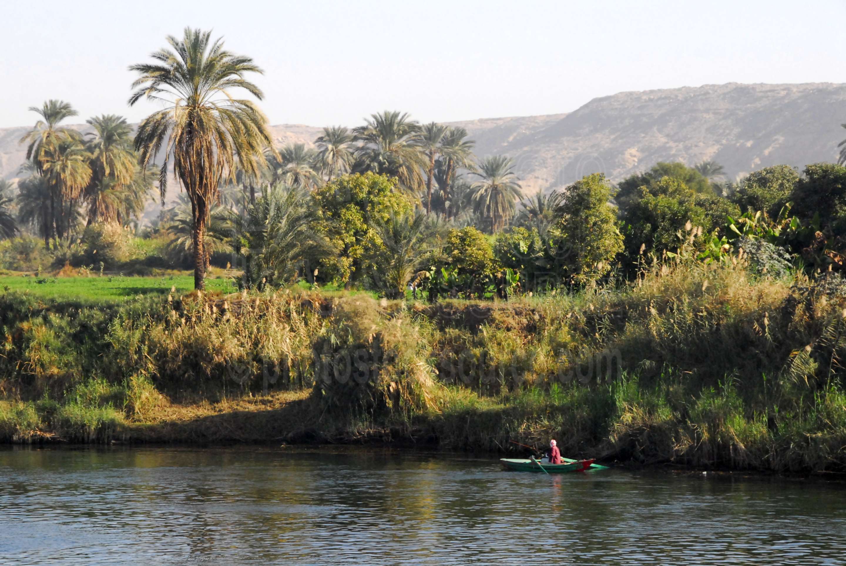 Nile River Bank Gallery