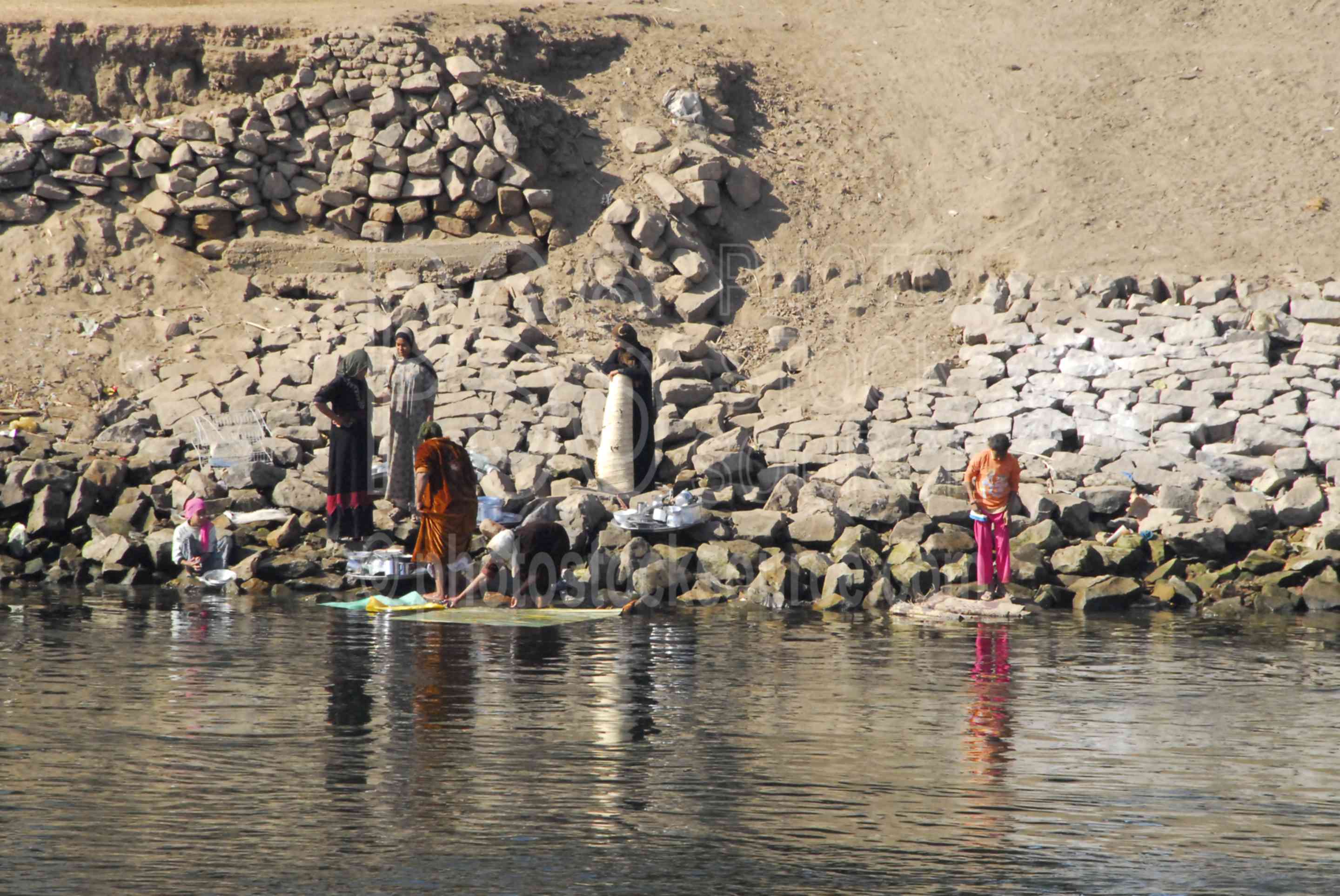 Nile River Bank Gallery