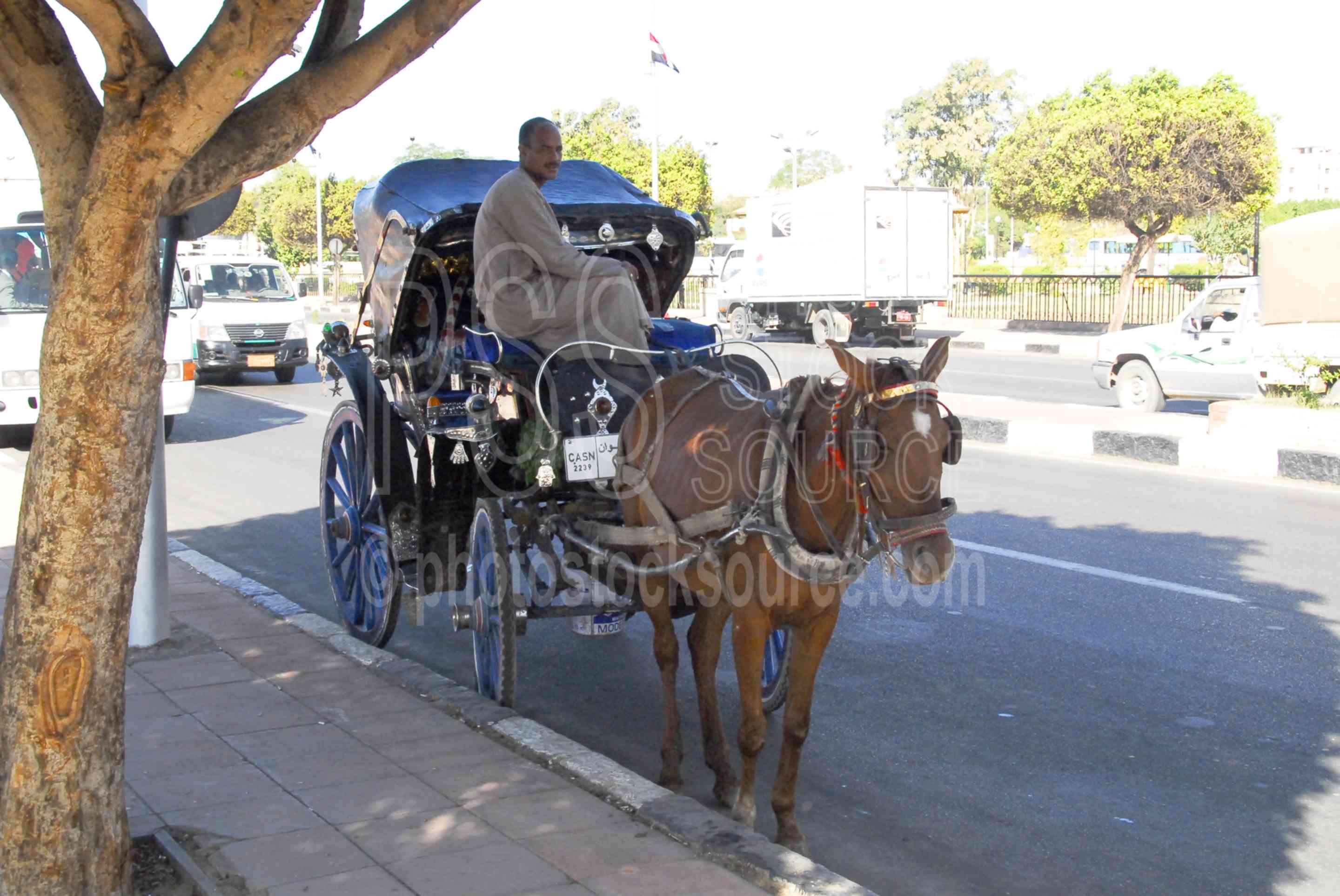 Egyptian Wagons & Carriages Gallery