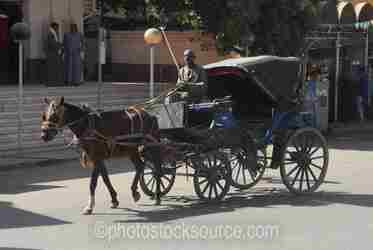 Egyptian Wagons & Carriages Gallery