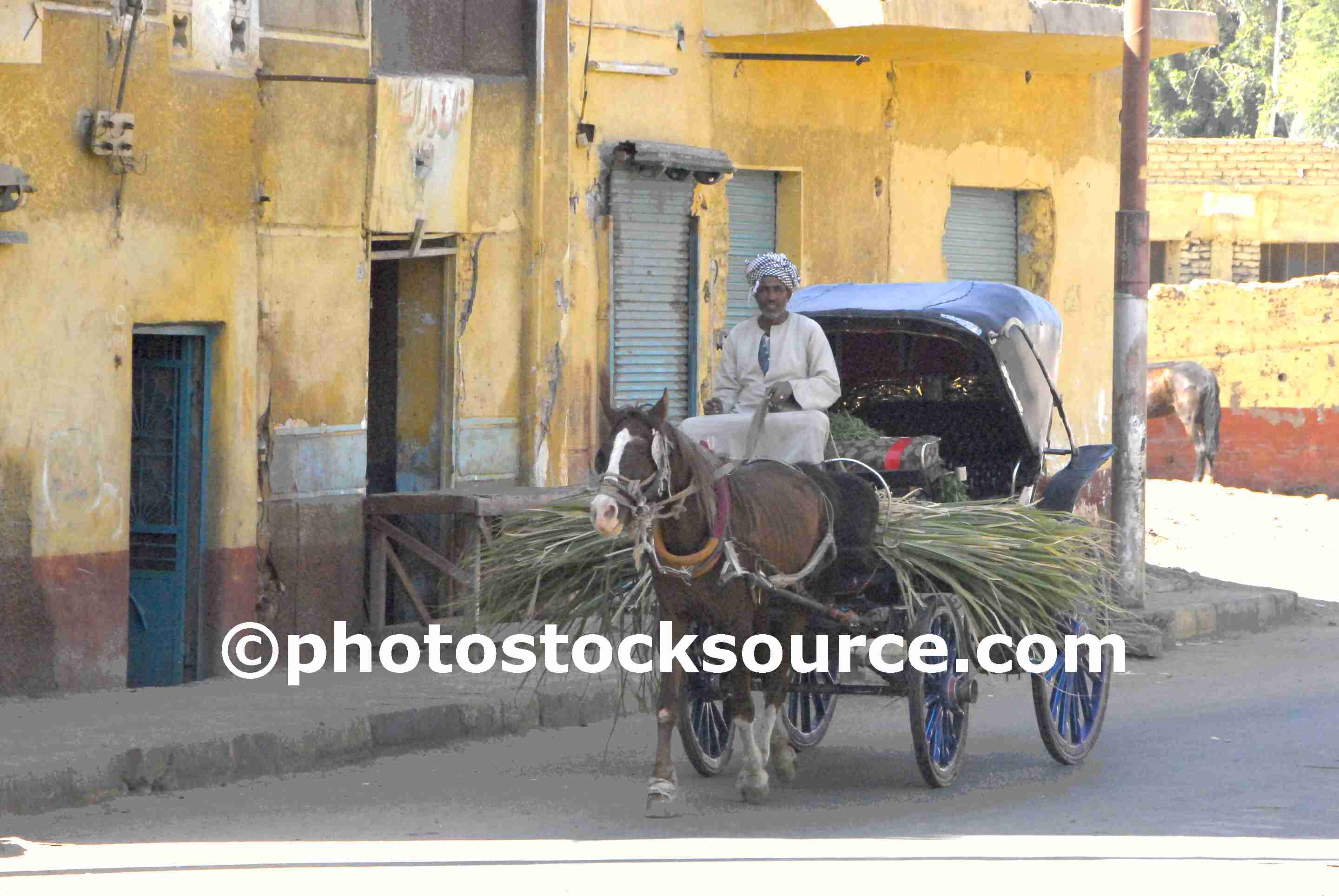 Egyptian Wagons & Carriages Gallery