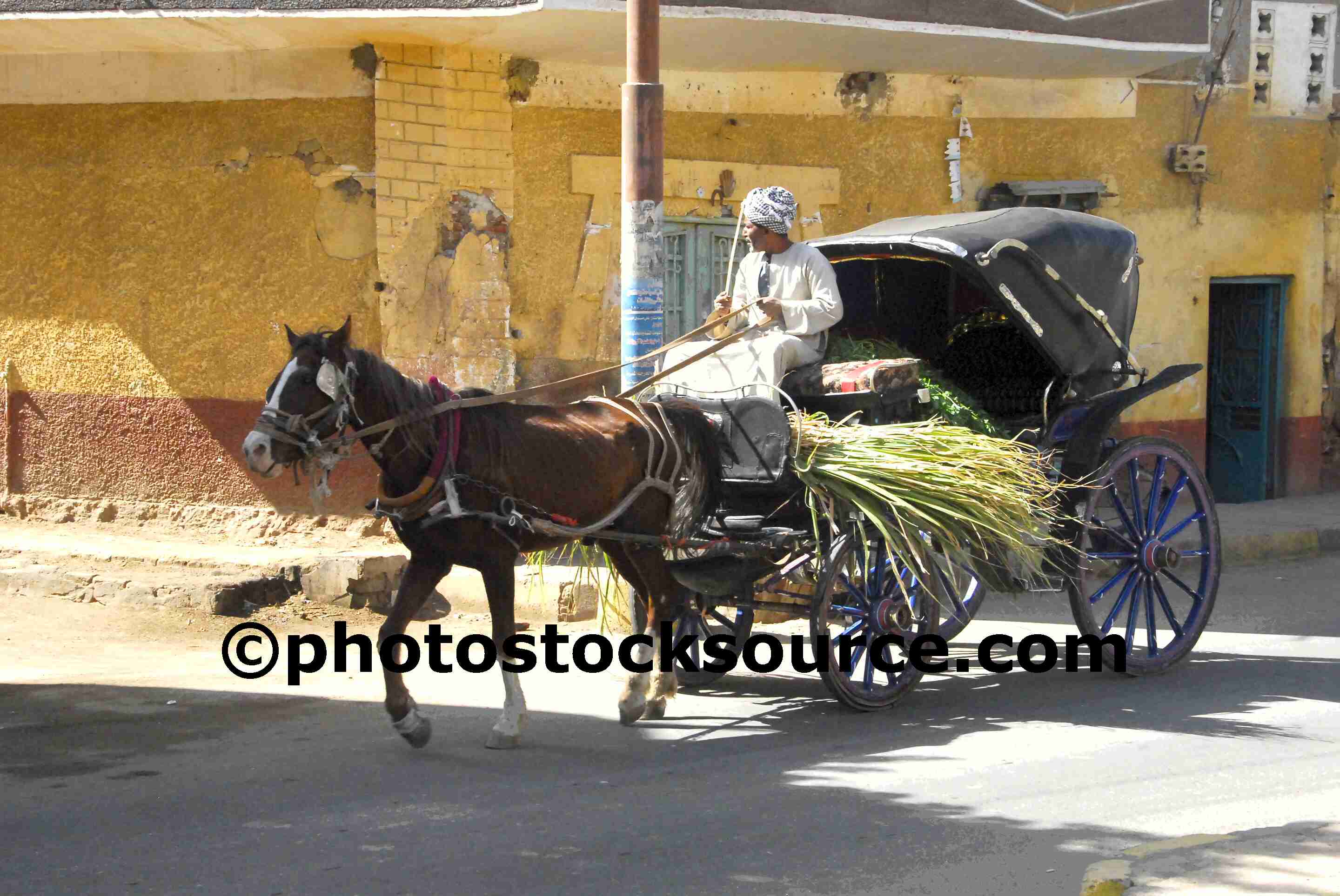 Egyptian Wagons & Carriages Gallery