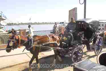 Egyptian Wagons & Carriages Gallery