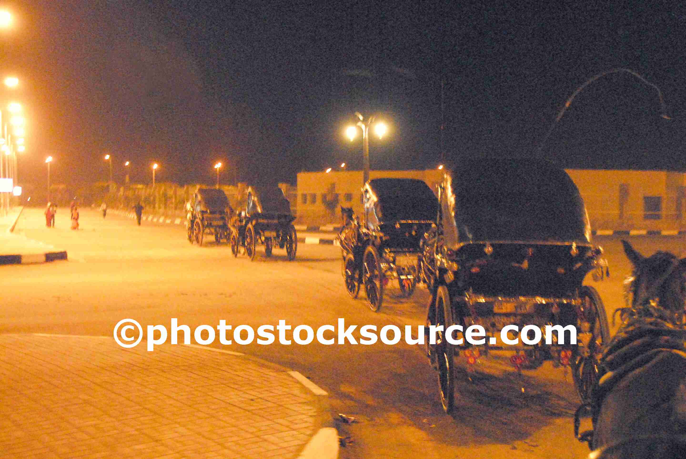 Egyptian Wagons & Carriages Gallery