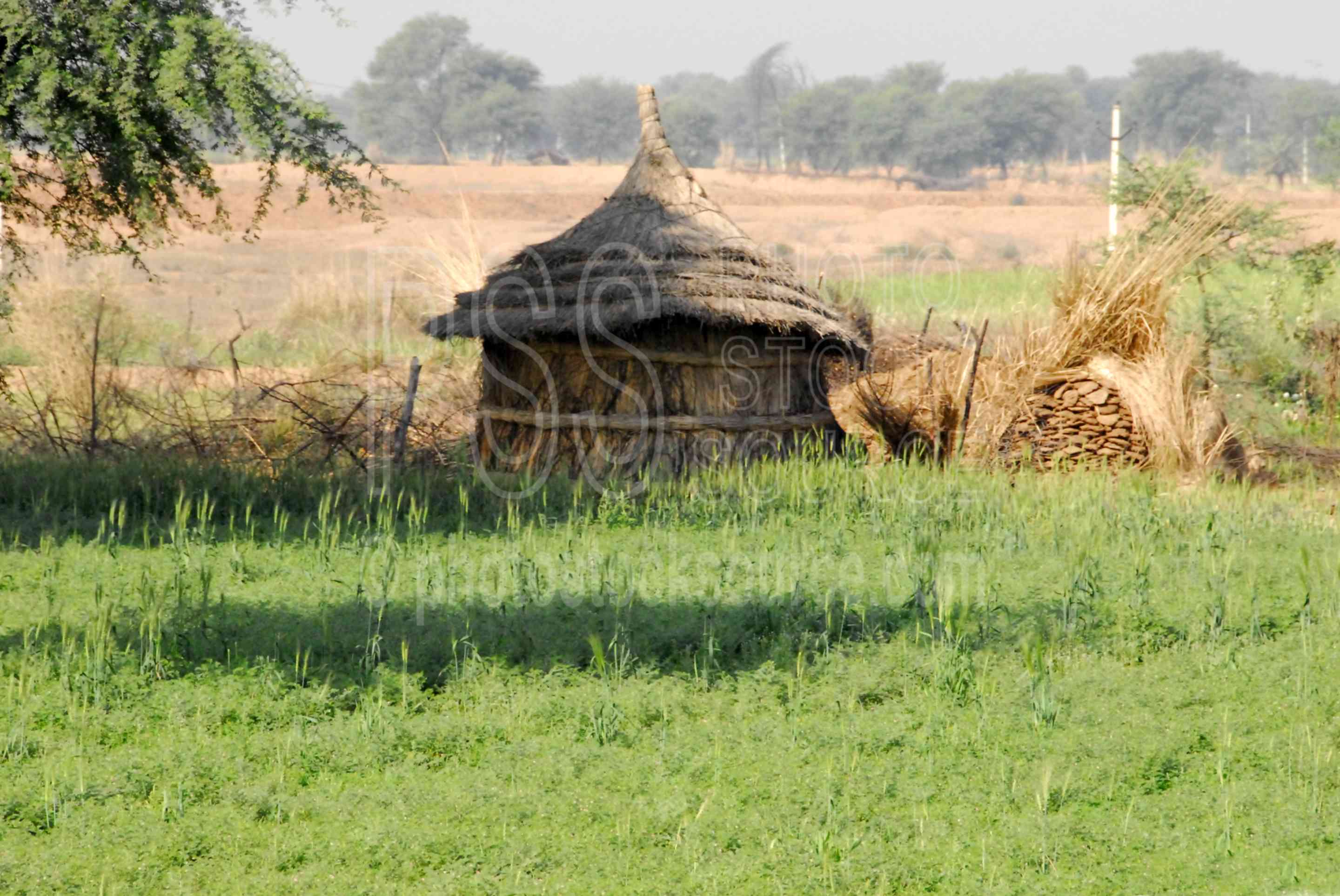 Indian Houses & Huts Gallery
