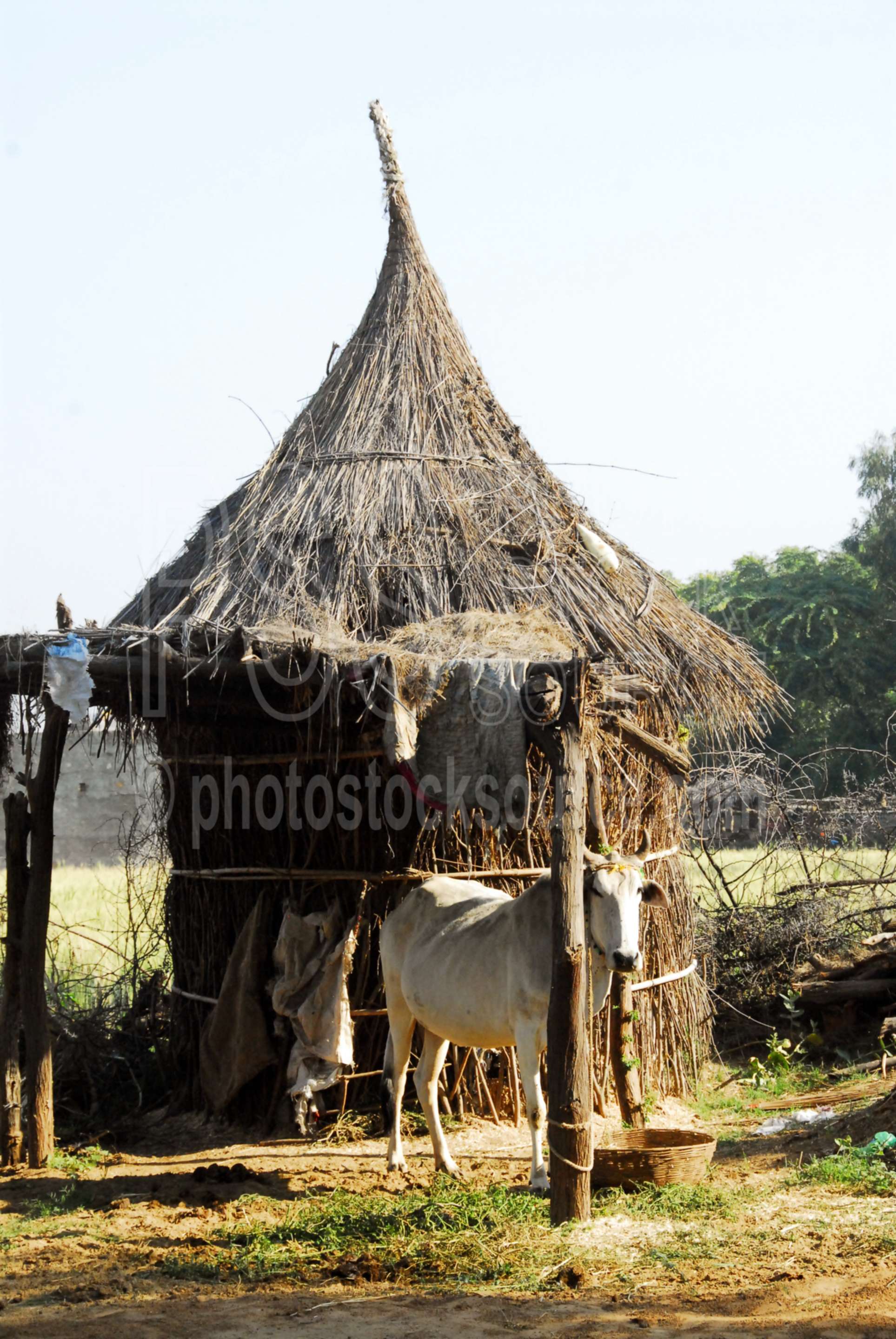 Indian Houses & Huts Gallery