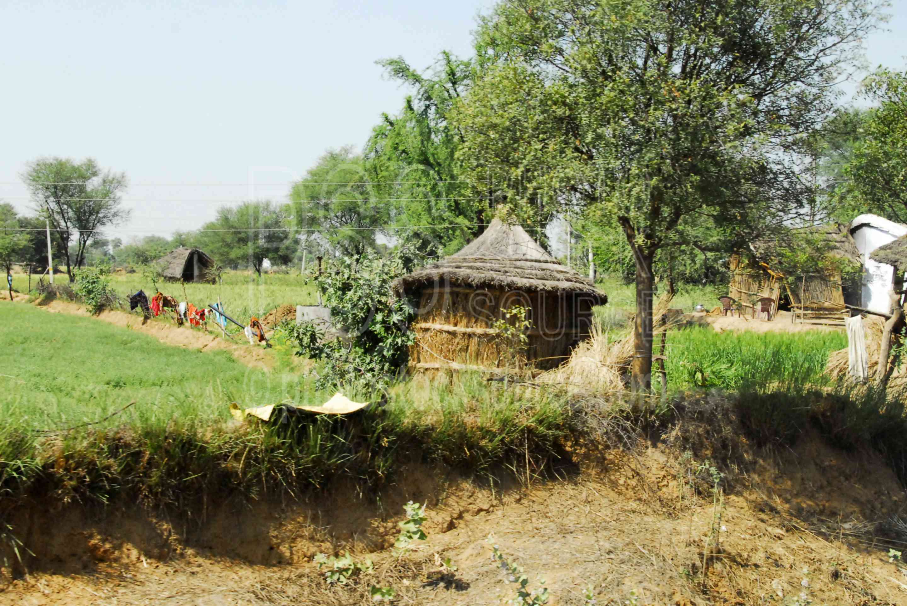 Indian Houses & Huts Gallery