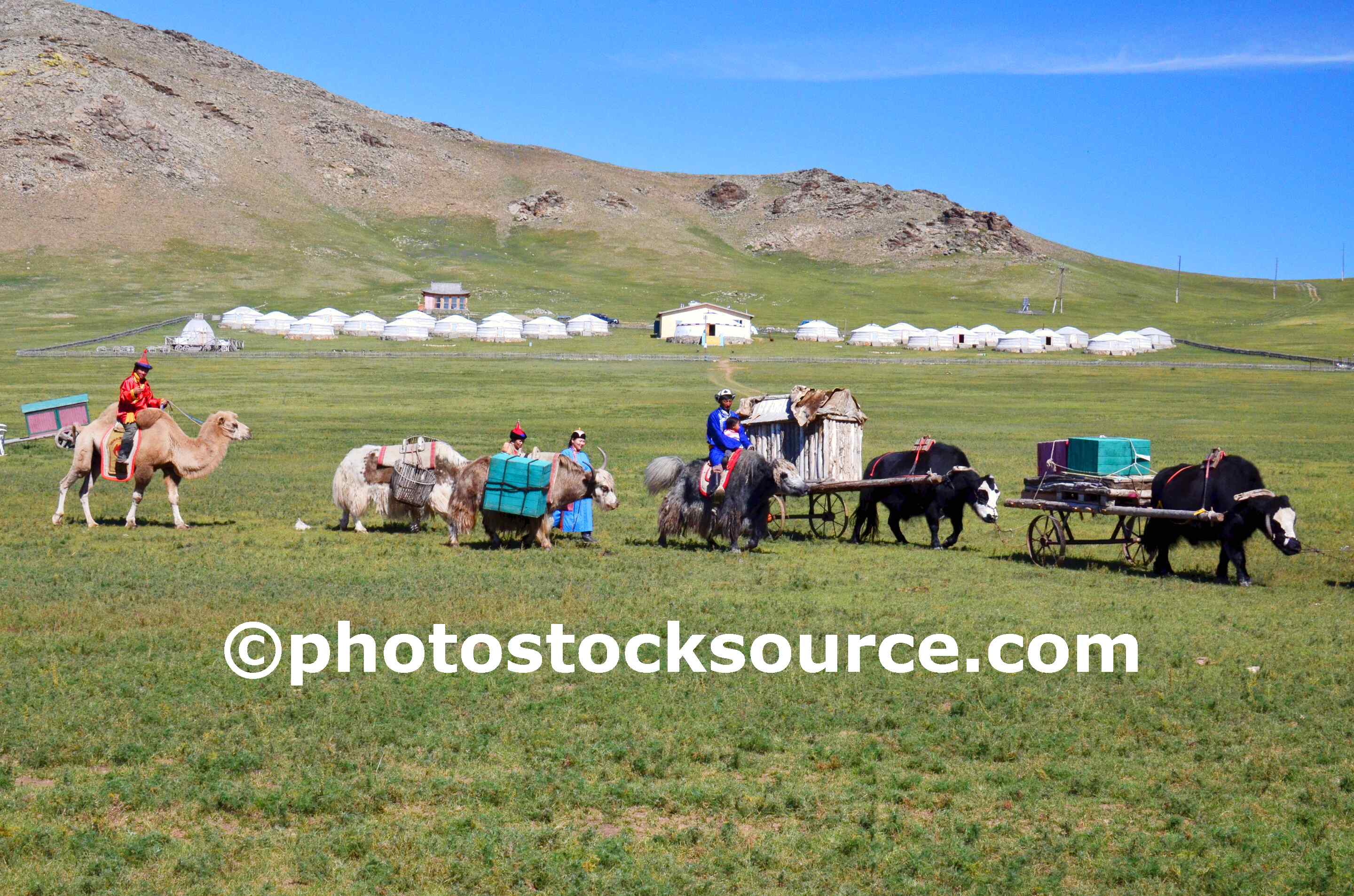 Wagons Gallery