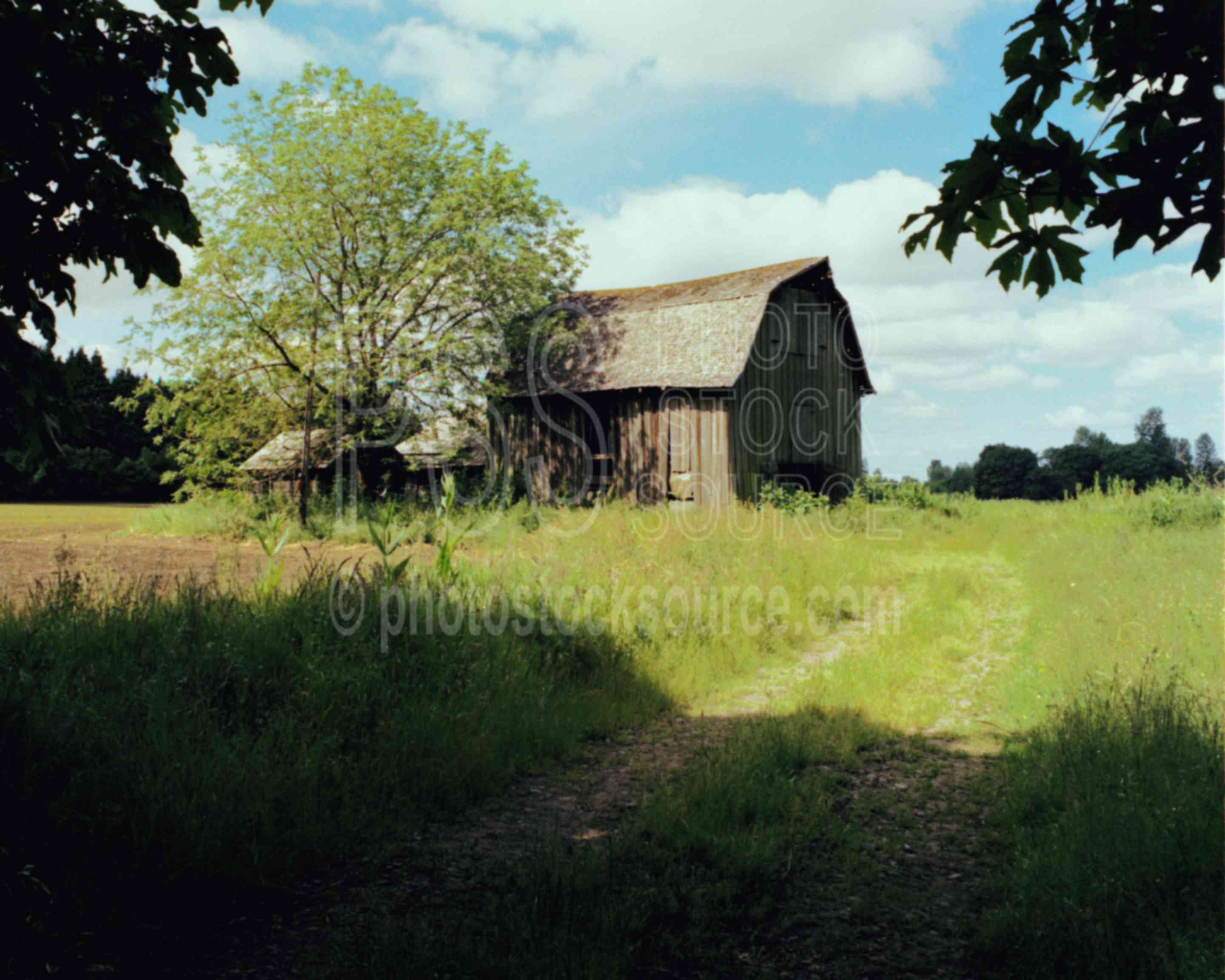 Oregon Barns Gallery