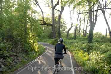 Eugene Bike Path Gallery