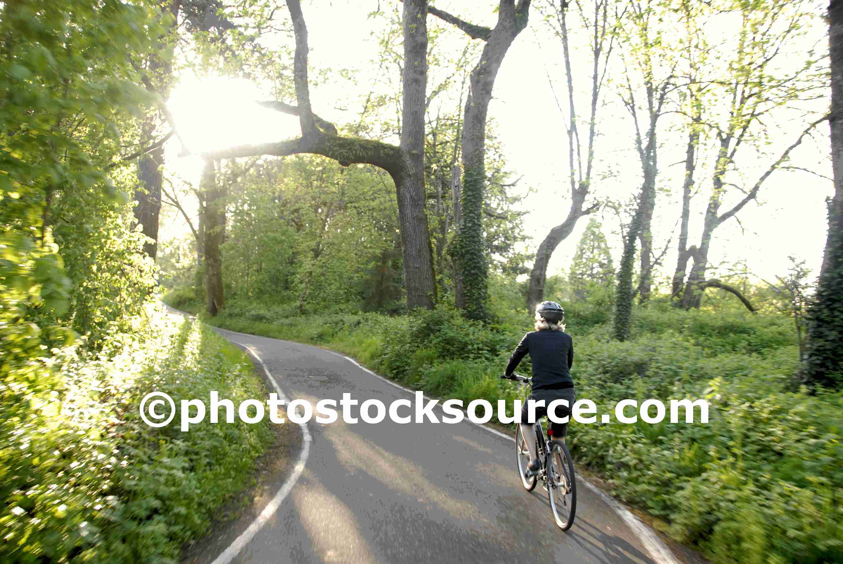 Eugene Bike Path Gallery