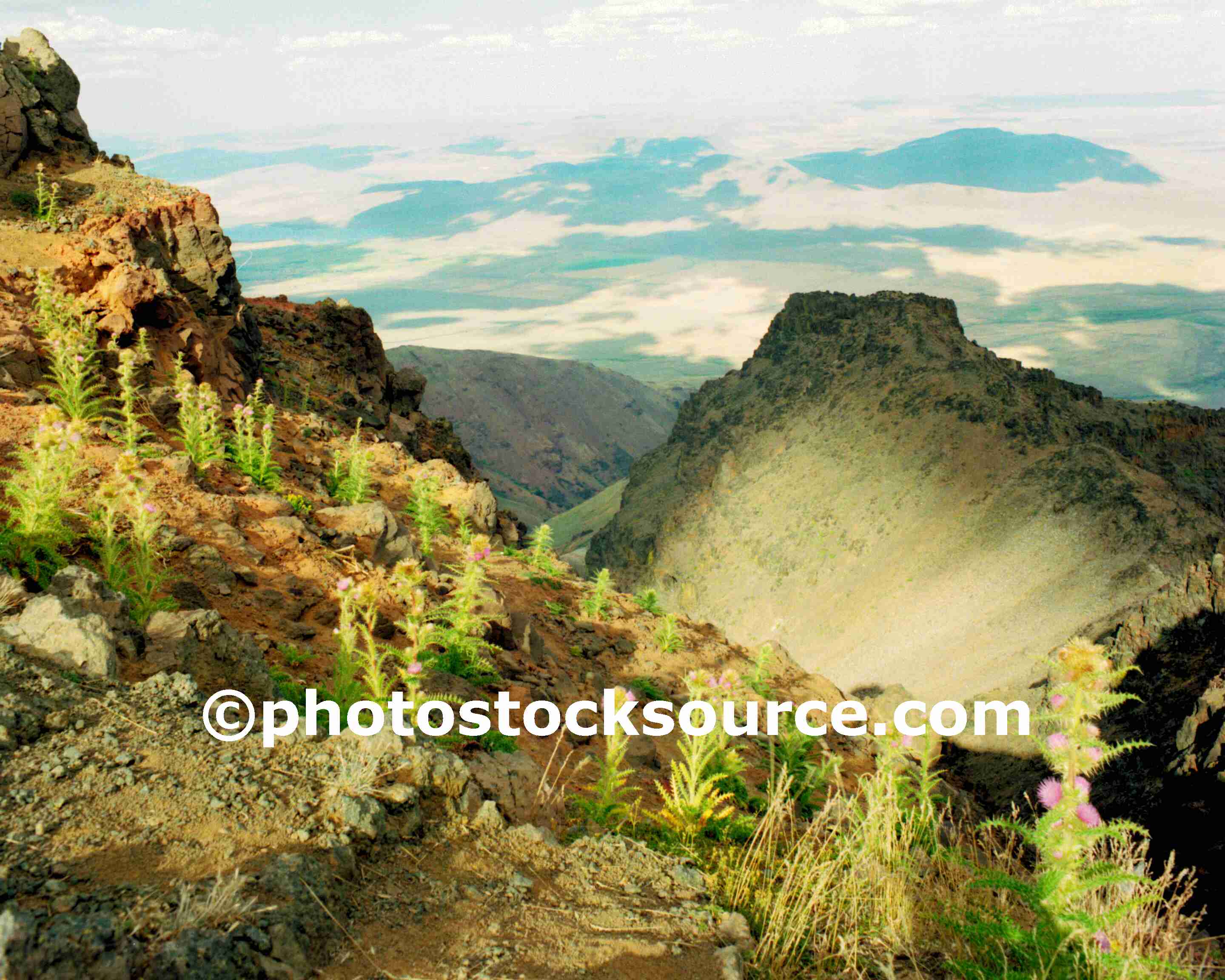 Steens Mountain Gallery
