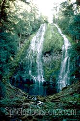 McKenzie River Waterfalls Gallery