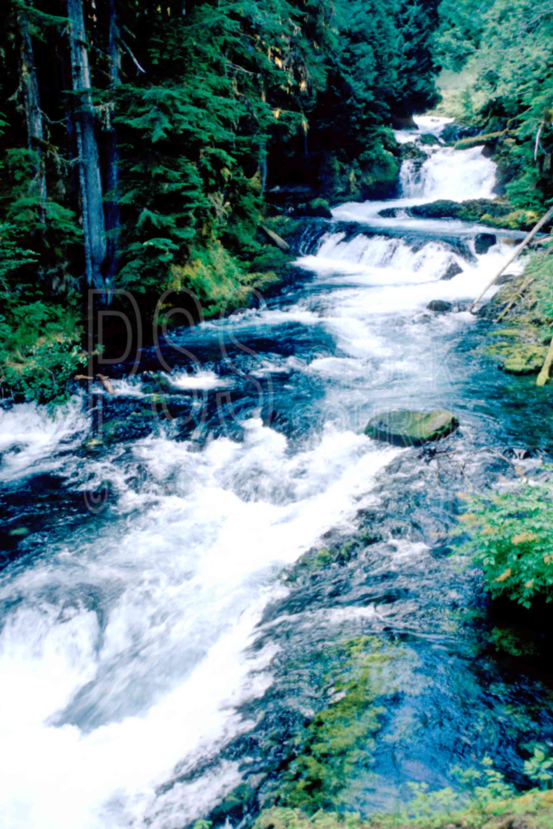 McKenzie River Waterfalls Gallery