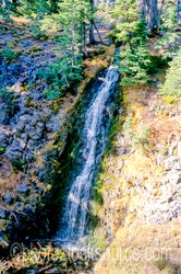 McKenzie River Waterfalls Gallery