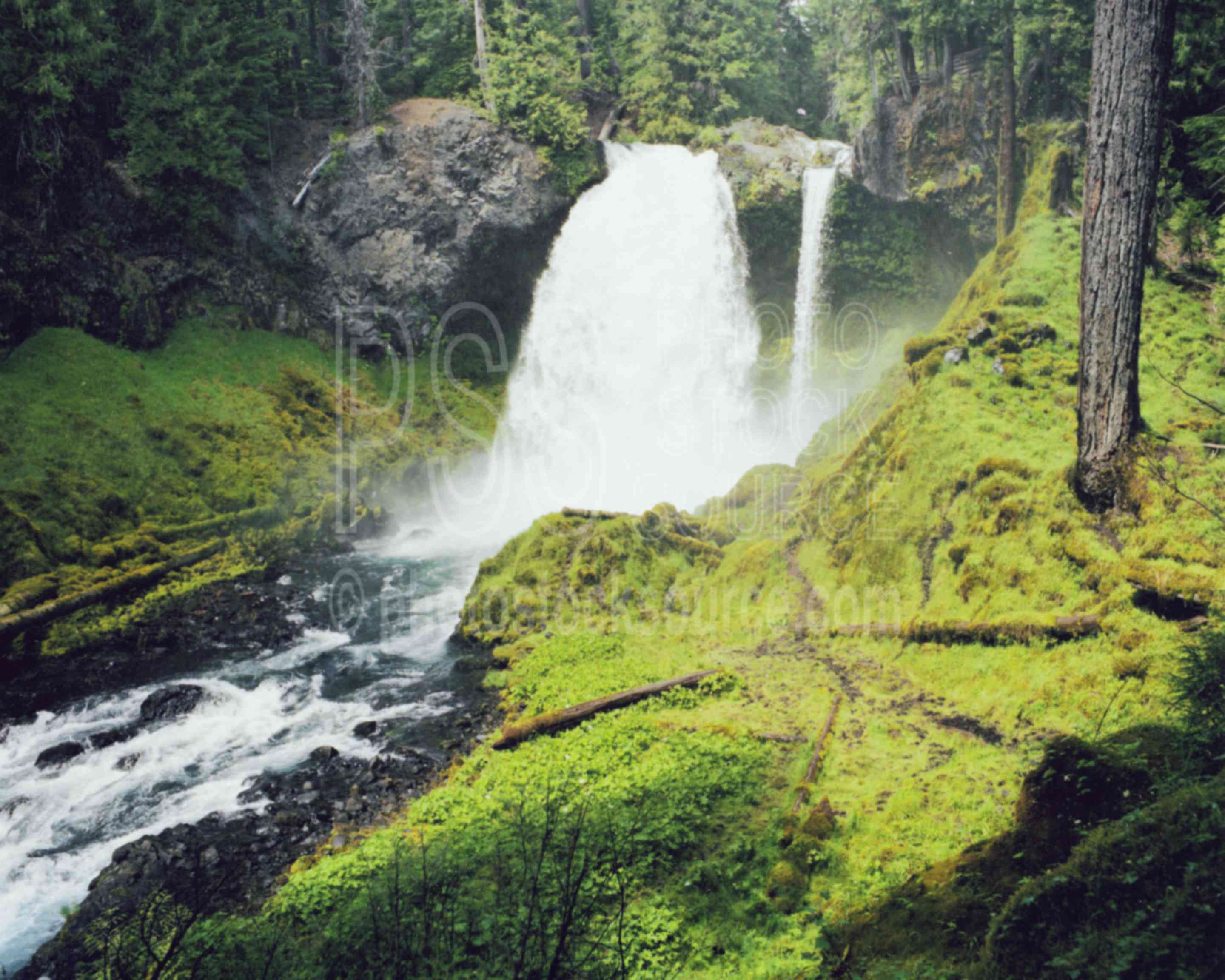 McKenzie River Waterfalls Gallery