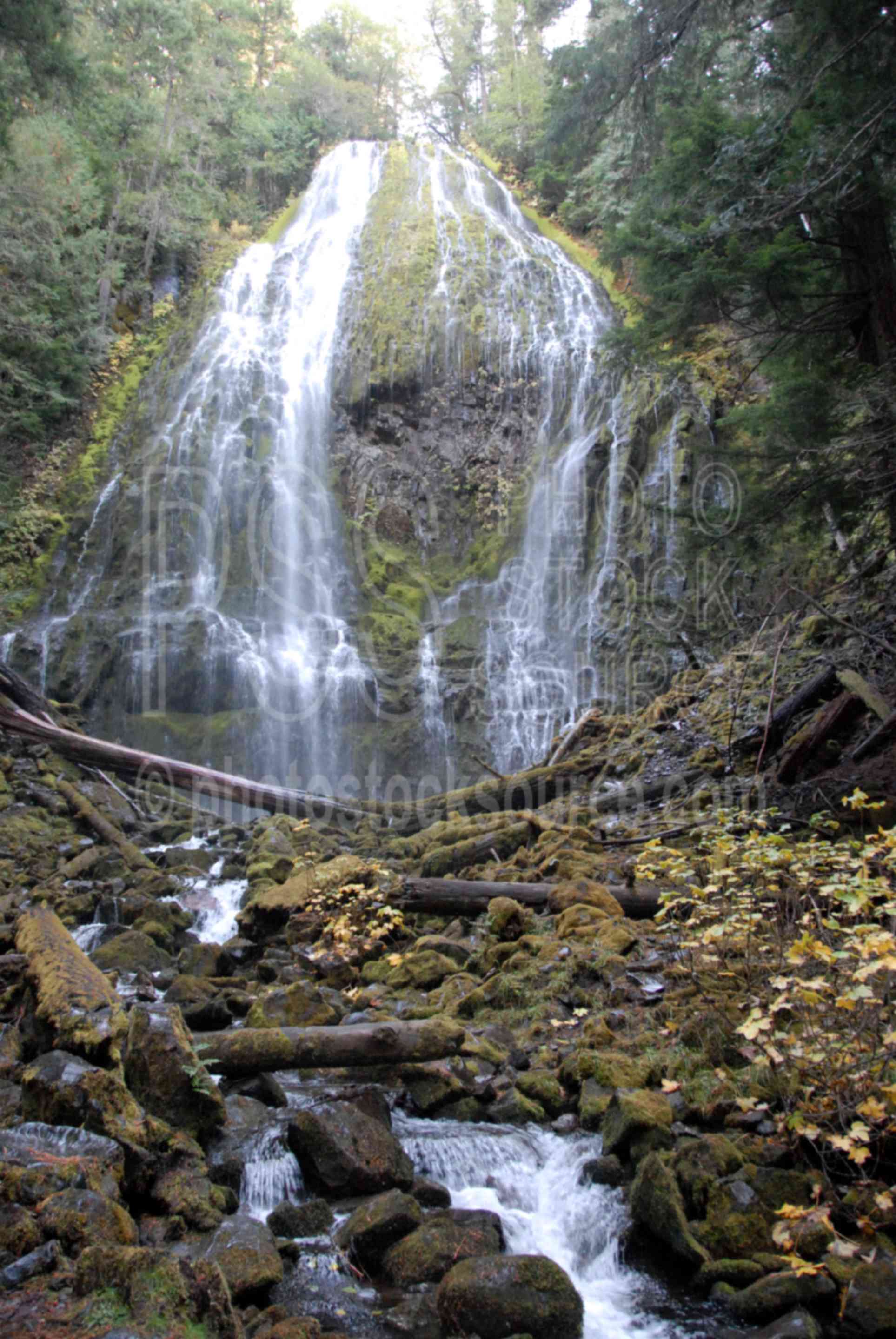 McKenzie River Waterfalls Gallery