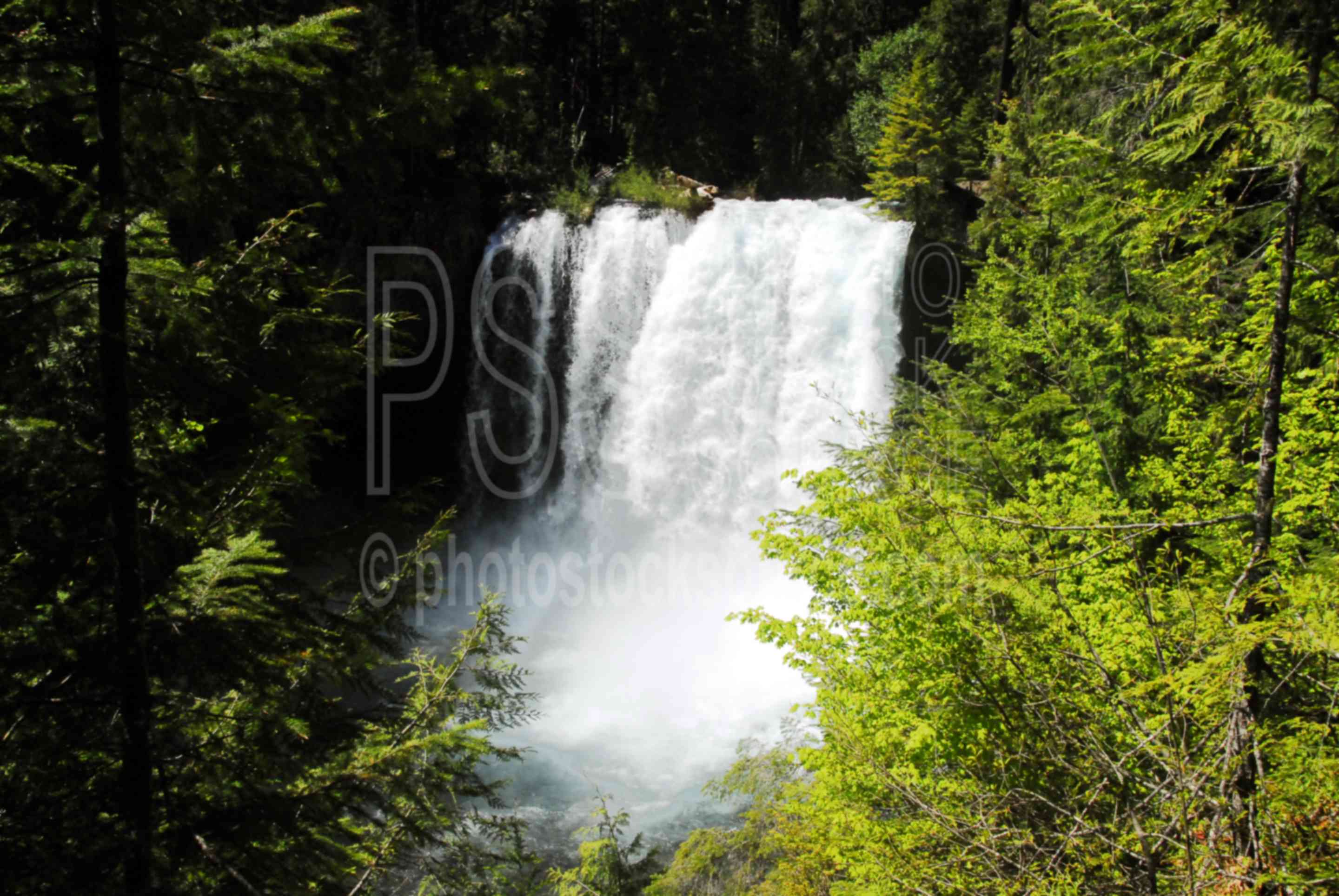 McKenzie River Waterfalls Gallery