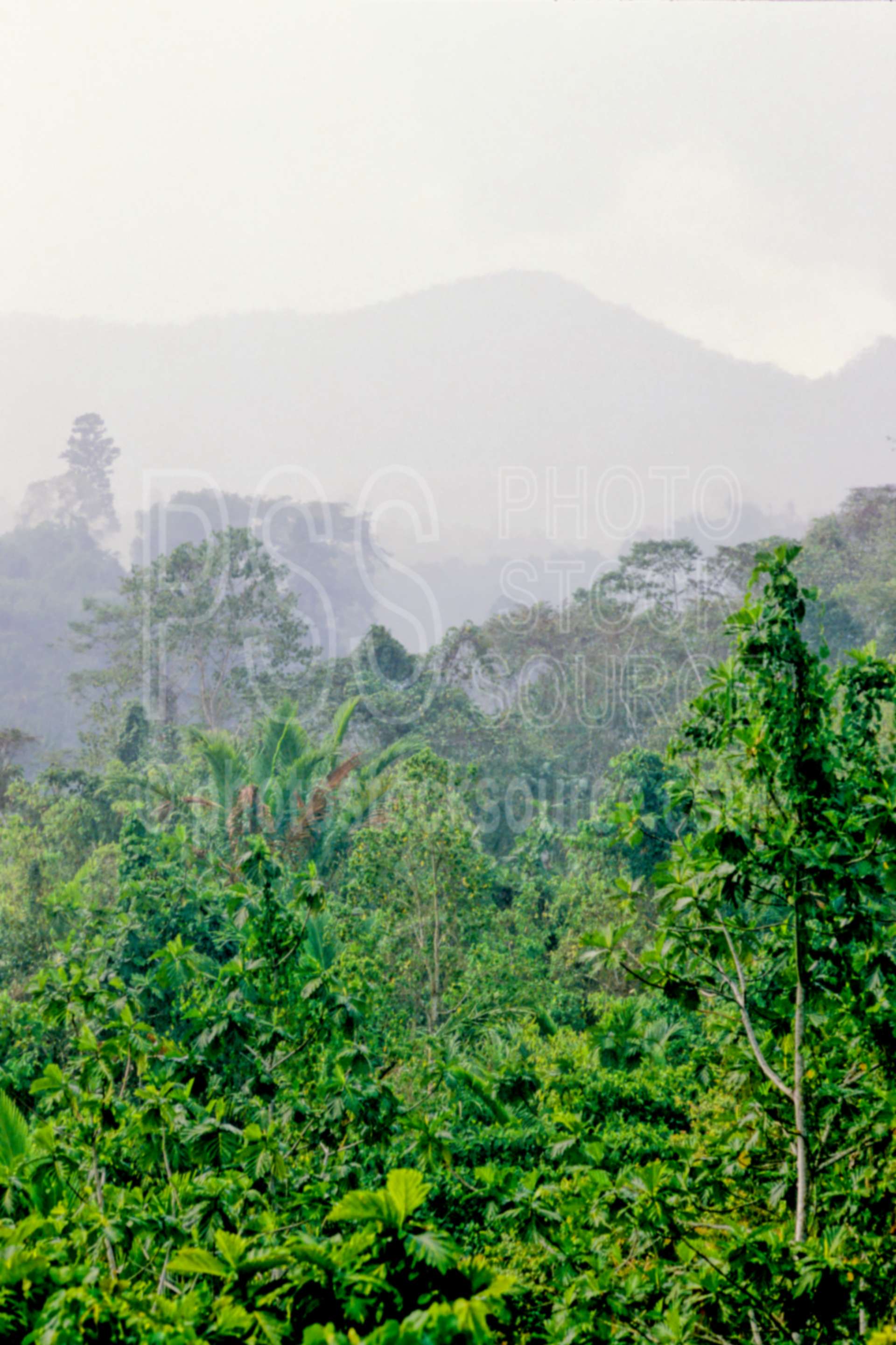 Papua New Guinea Landscapes Gallery