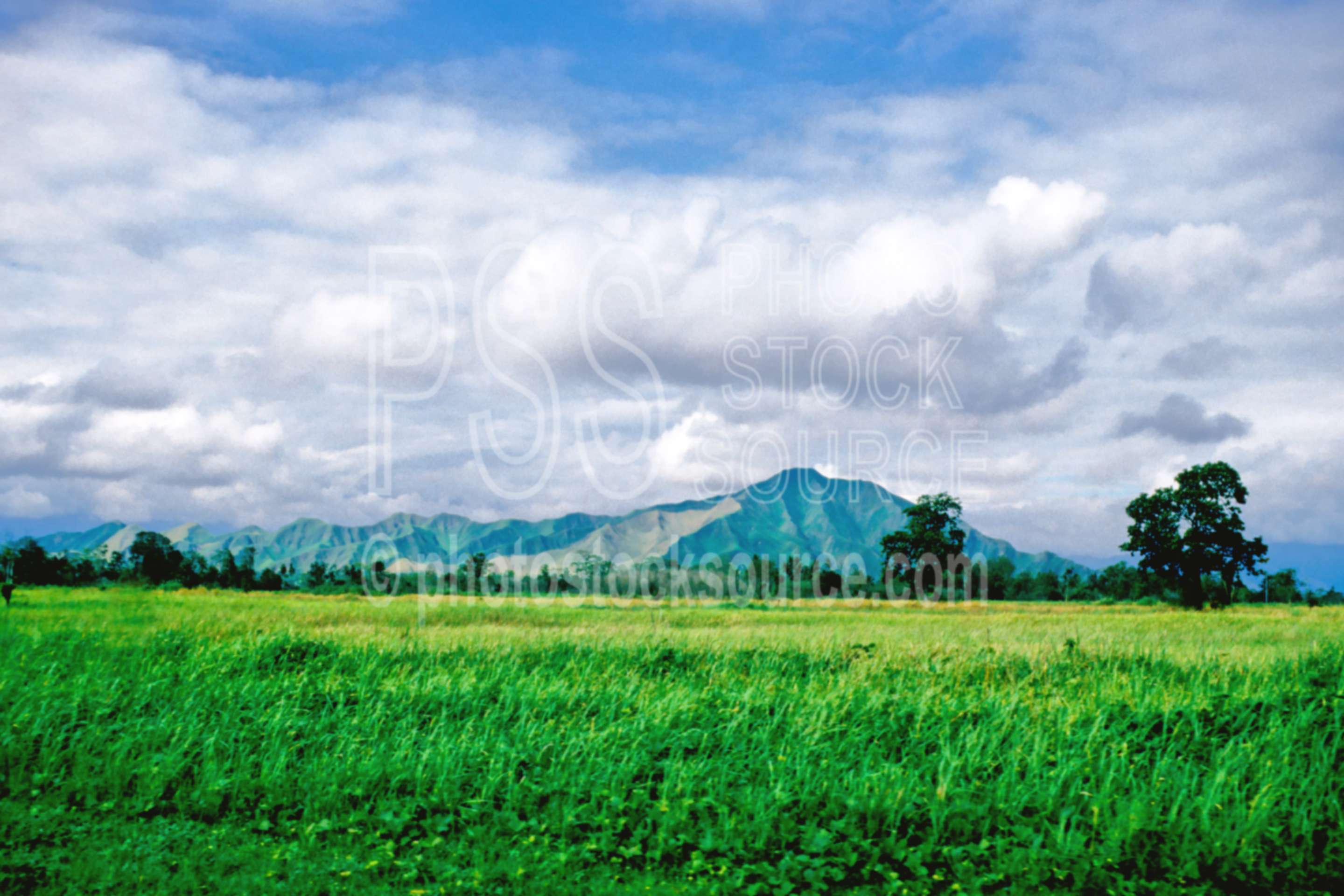 Papua New Guinea Landscapes Gallery
