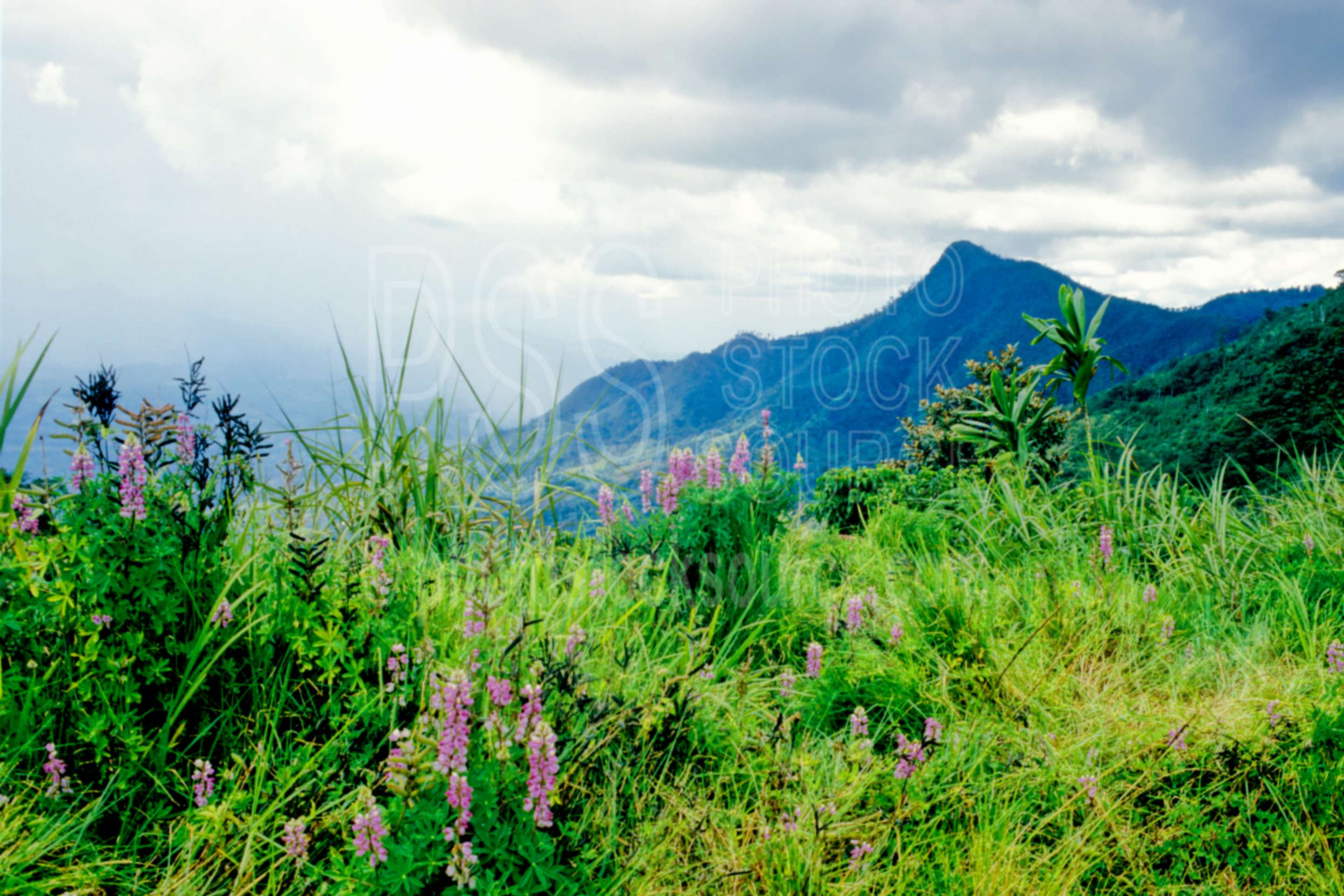 Papua New Guinea Landscapes Gallery