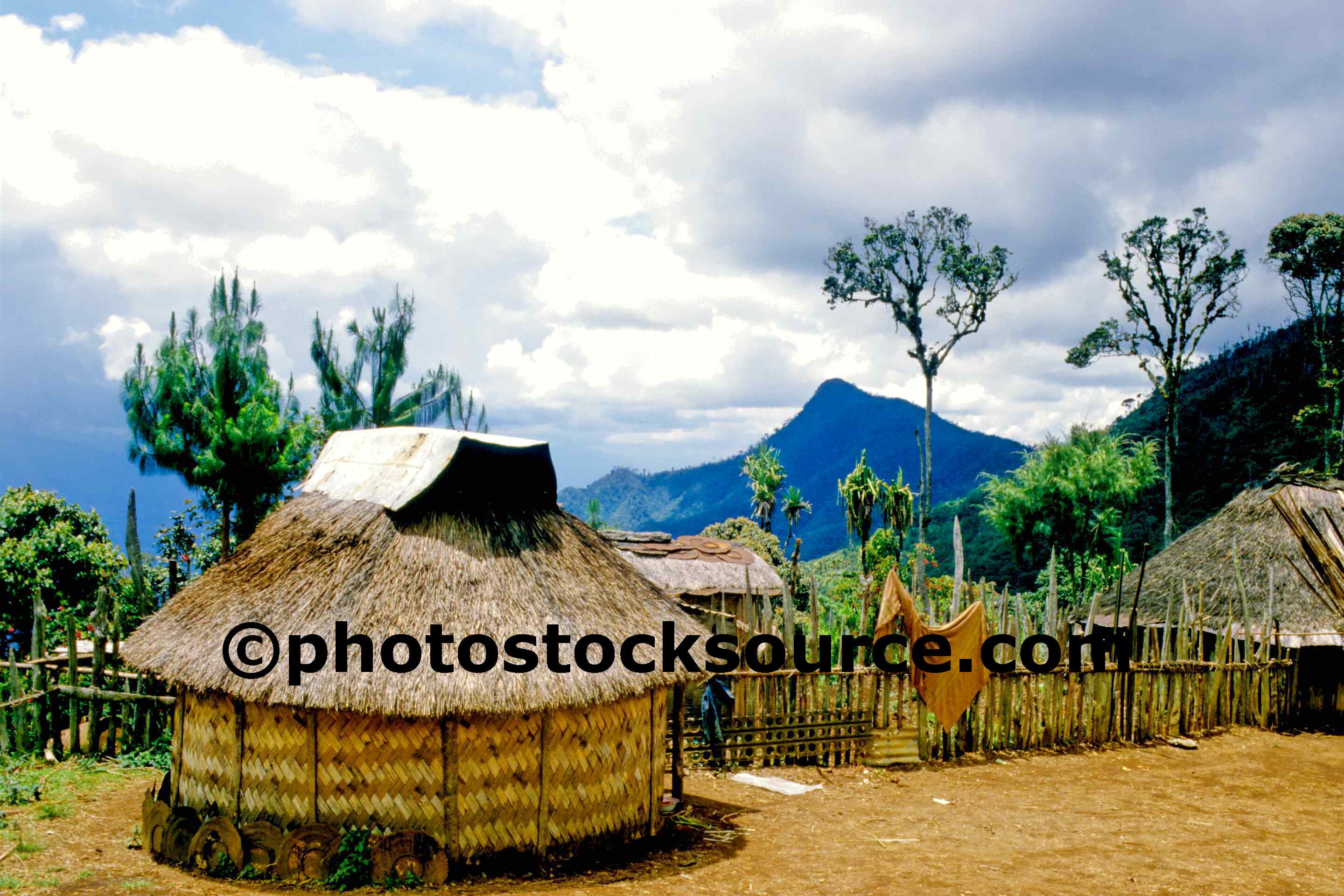 Papua New Guinea Village