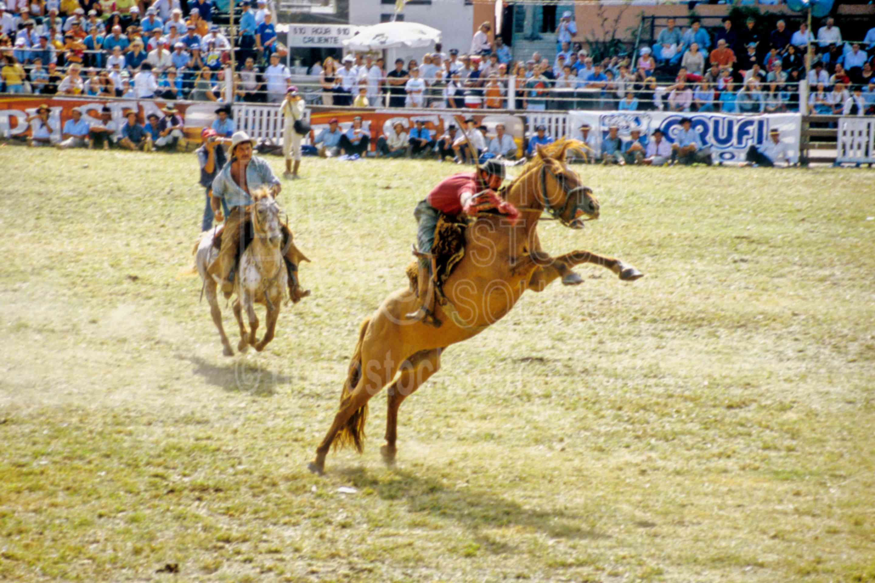 Uruguayan Gaucho Rodeo Gallery